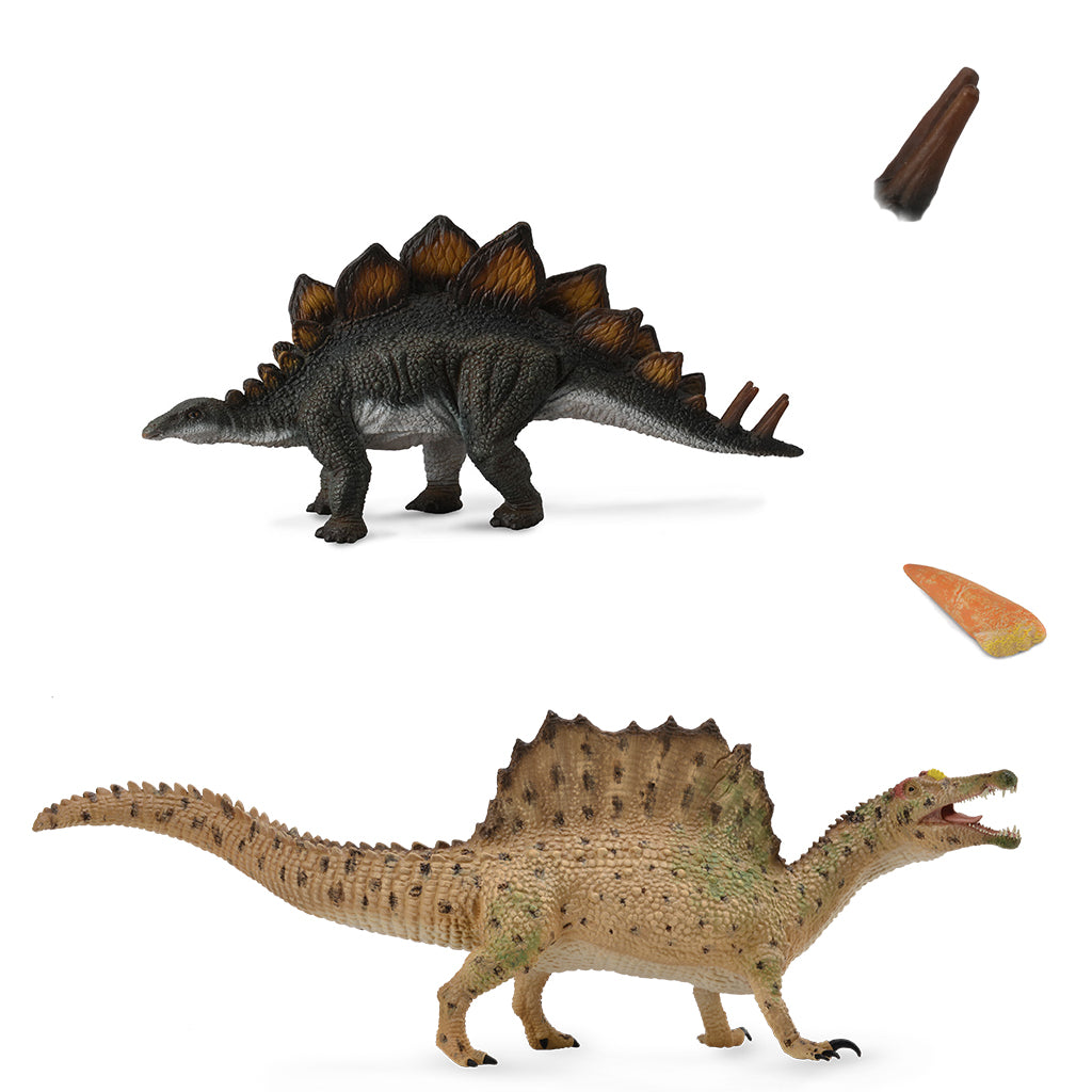 Stegosaurus, Spinosaurus, tooth & tail spike - Box Set – Dinosaurs Galore
